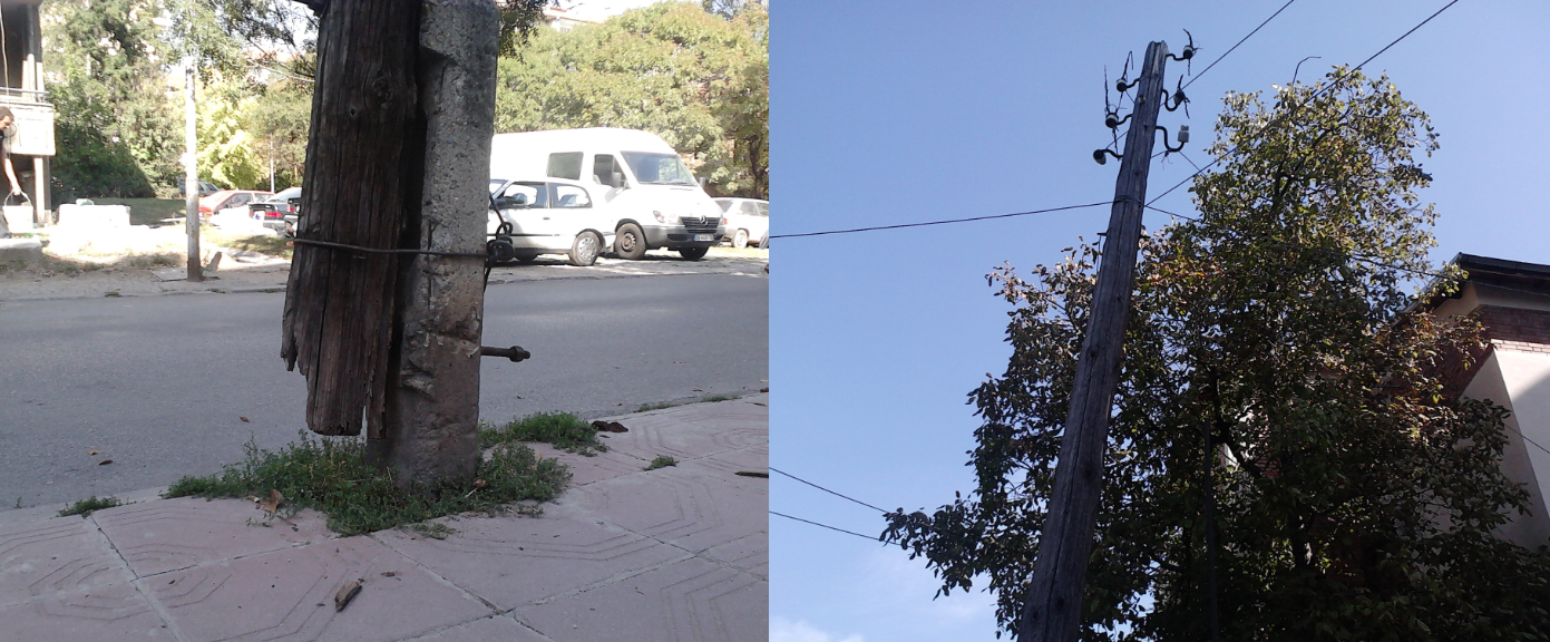 Ghiocelul alb: Povestea unui stalp de lemn