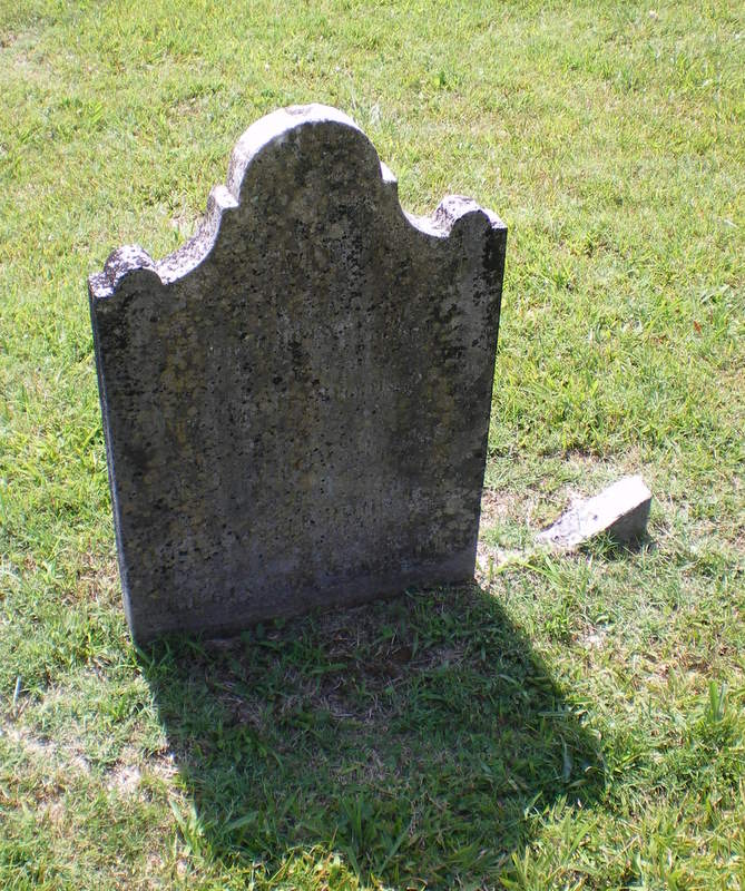 Nolichucky Roots: July 2011