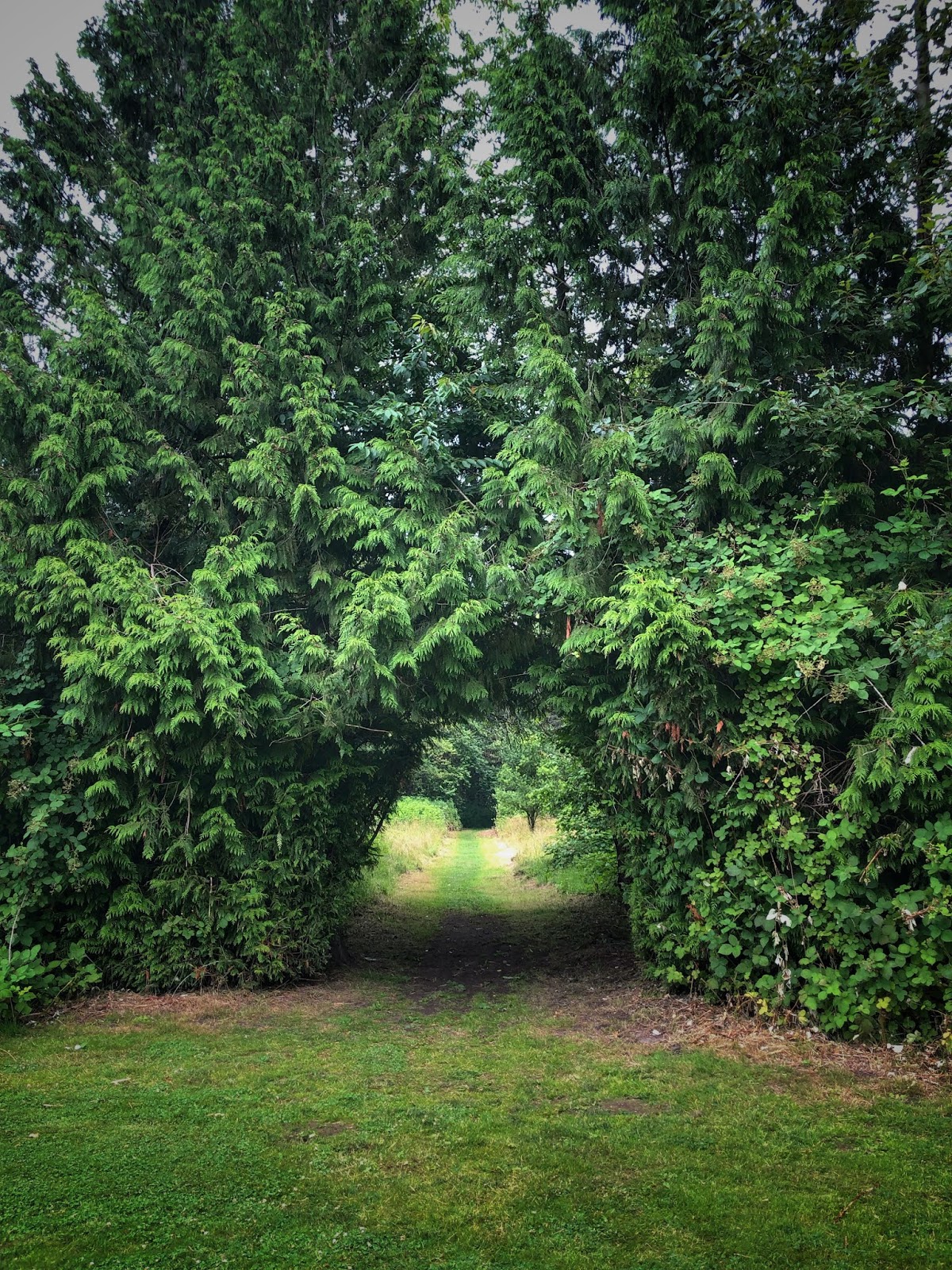 West of the 5th : Clayburn Village