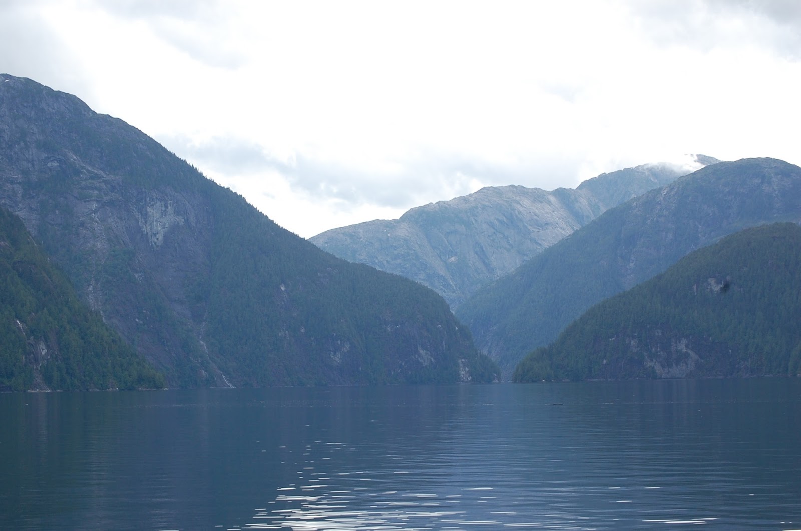 Adventure to Alaska!: Fiordland, Kynoch Inlet/Culpepper Lagoon, 08.24.2013