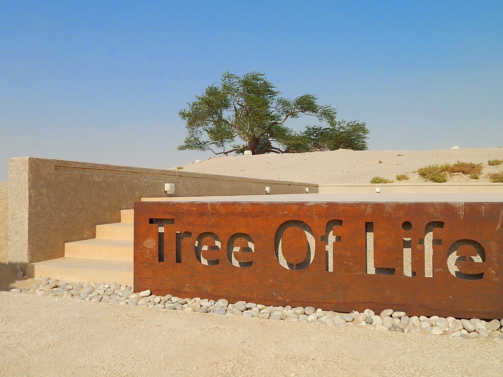 My Pale Blue Blog: The Tree of Life in Bahrain
