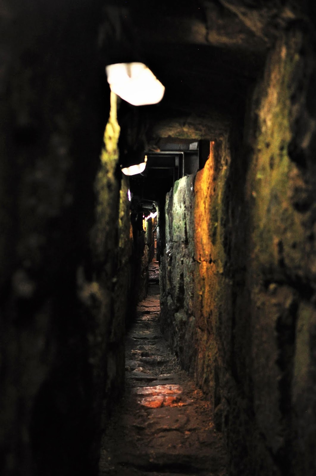 Lumen Olivarum: Jerusalem Pilgram Road to Temple Mount Officially Opens