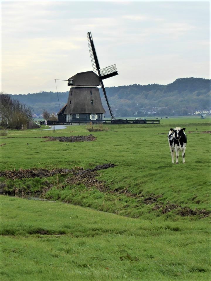 Mooiste Routes: Groet wandelen, Tot Ziens in Groet