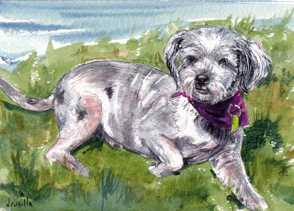 The Art of The Illustrated Rat: Tootsie