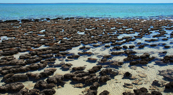 Mundo Pré-Histórico: Éon Arqueano