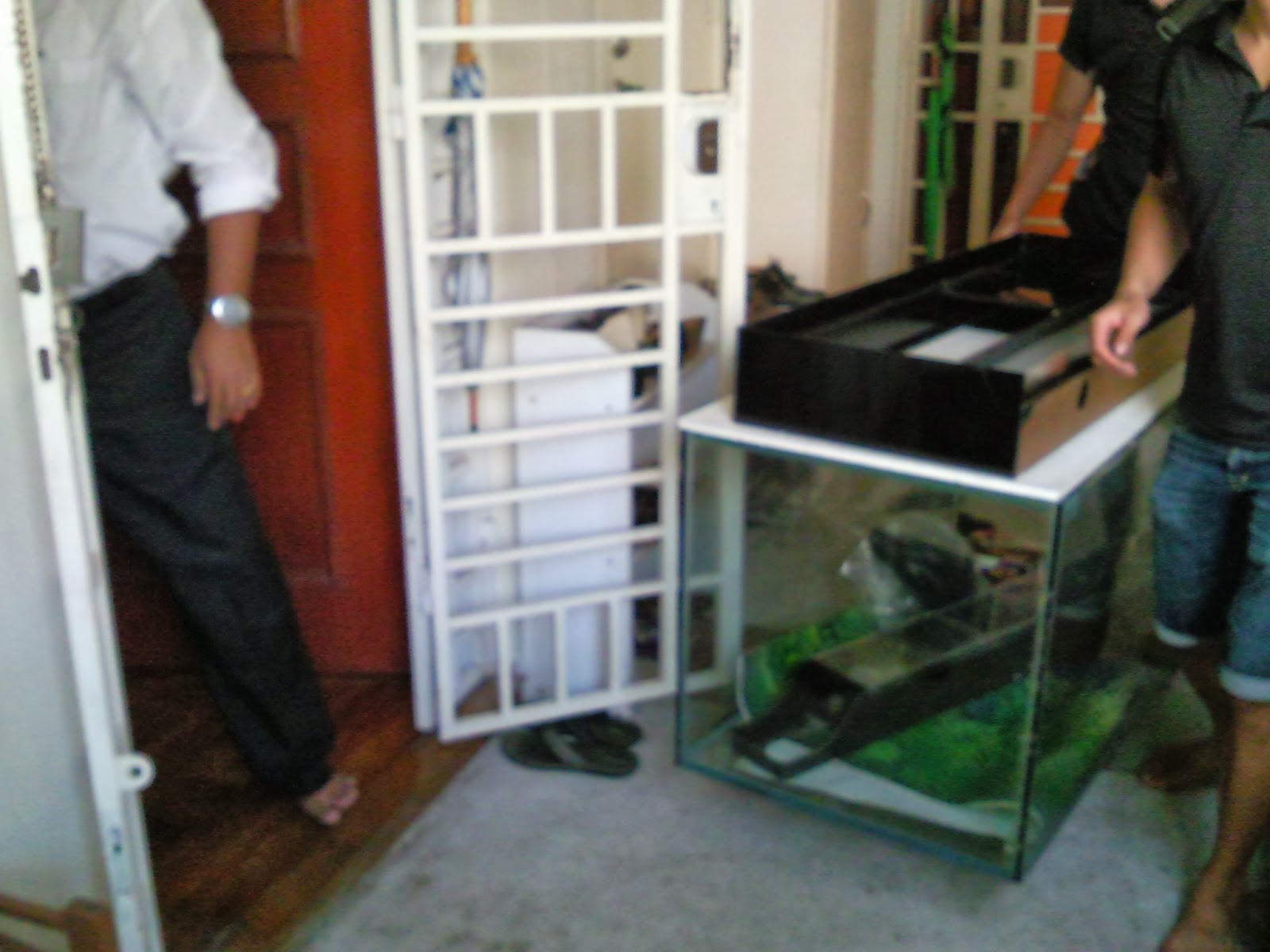Tropical Fisher Man Fish Tanks And Aquarium CRS: Professional Fish ...