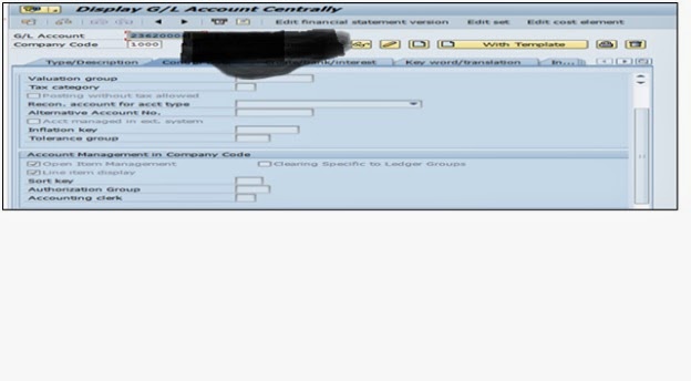 Open item Management activation process FICO ~ SAP techno functional ...