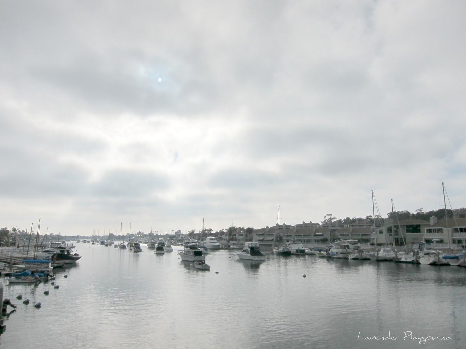Lavender Playground: Balboa Island