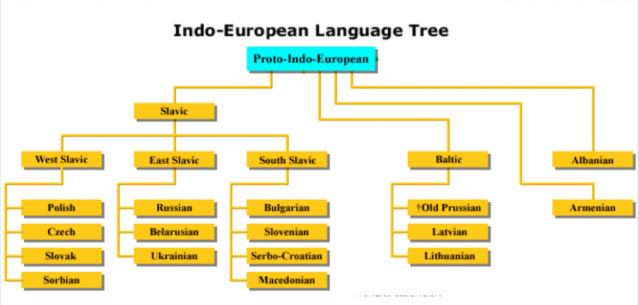 Indo European Language Family Tree Pin On Mindenféle