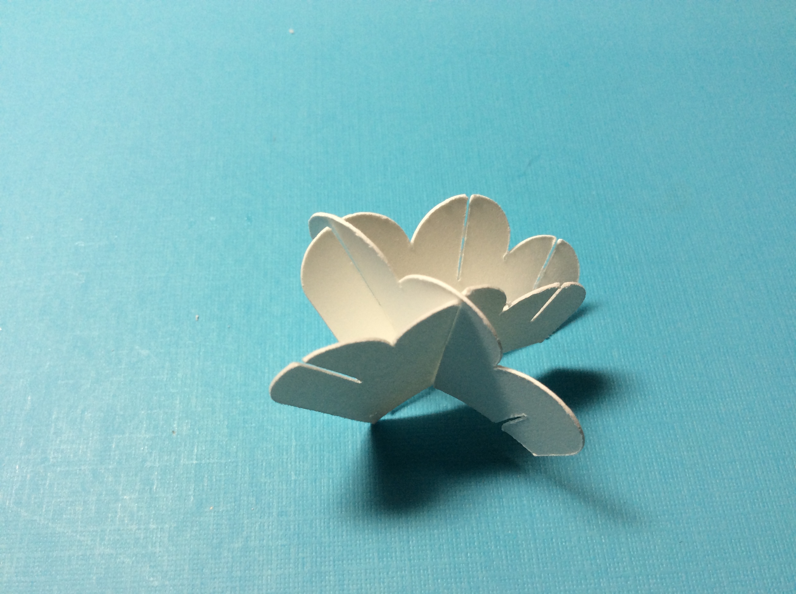 Papercrafts and other fun things: A STEM Project: An Amazing Slice Form ...
