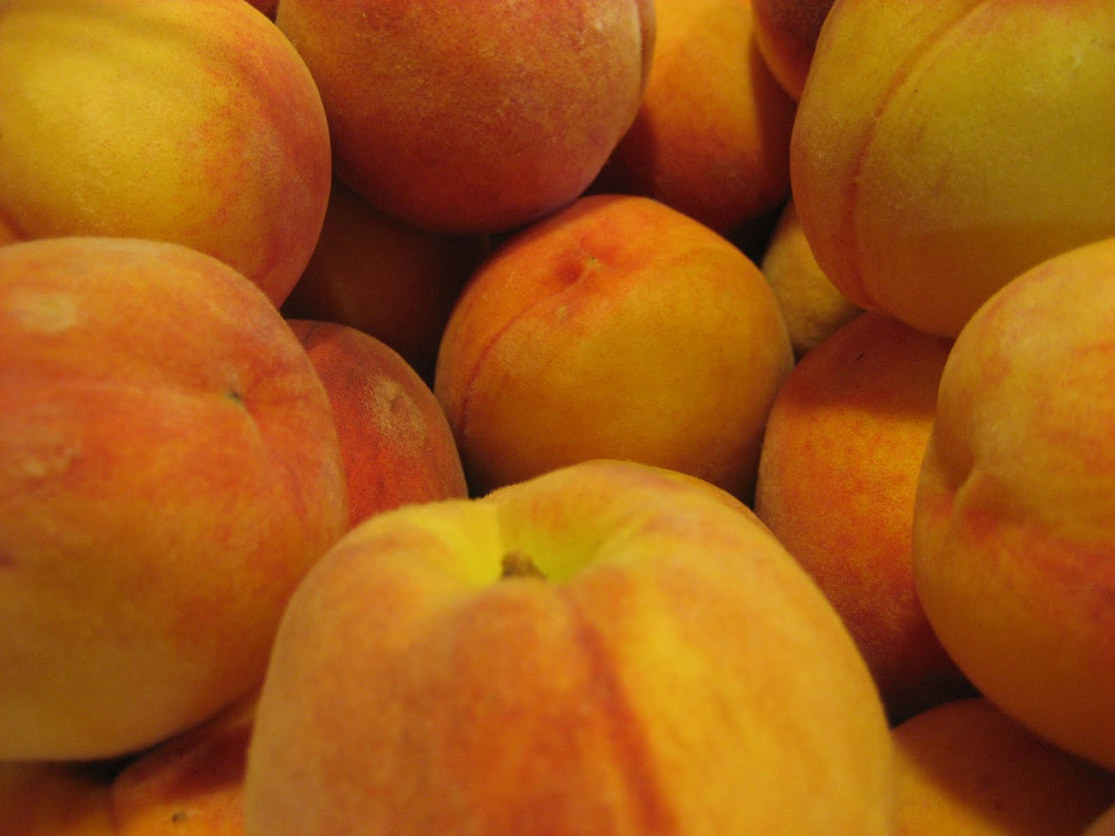 Teacher, Baker, Gourmet Meal Maker: 2011