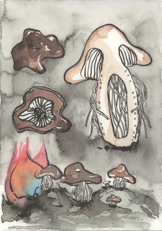 Confraria dos RPGs: Fungi of the Far Realms - vamos usar cogumelos em ...