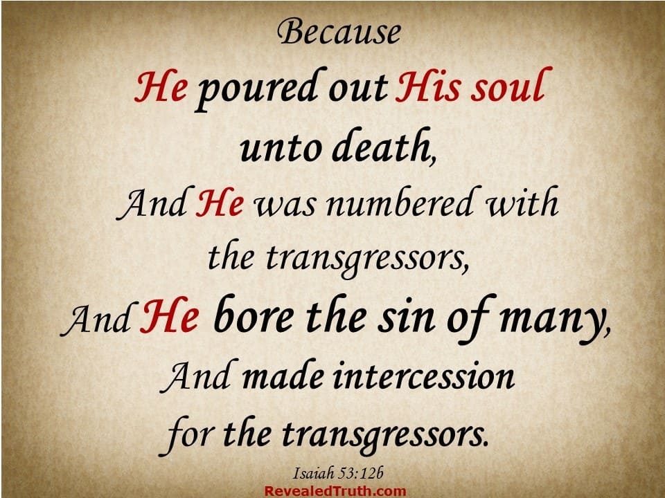 MANUFACTURER'S HANDBOOK: JESUS OUR INTERCESSOR IS FOR US