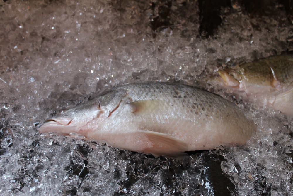 Gastronomical Travel: Malacca Day 3c - Muara Sungai Duyong