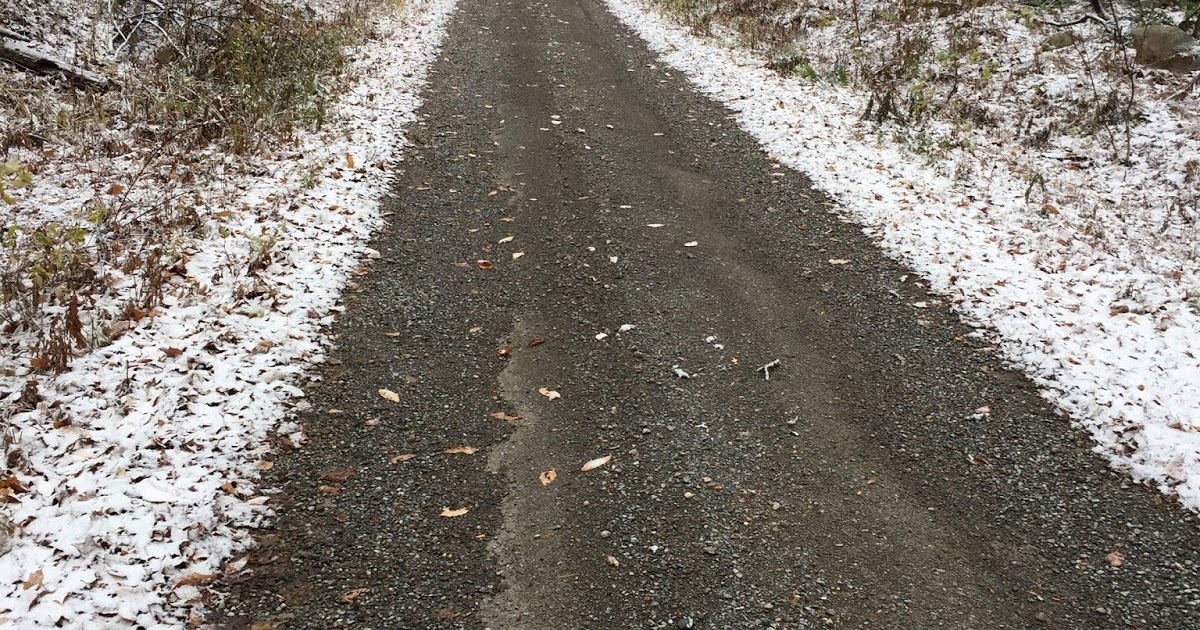 Elephantlaker: First snow dusting