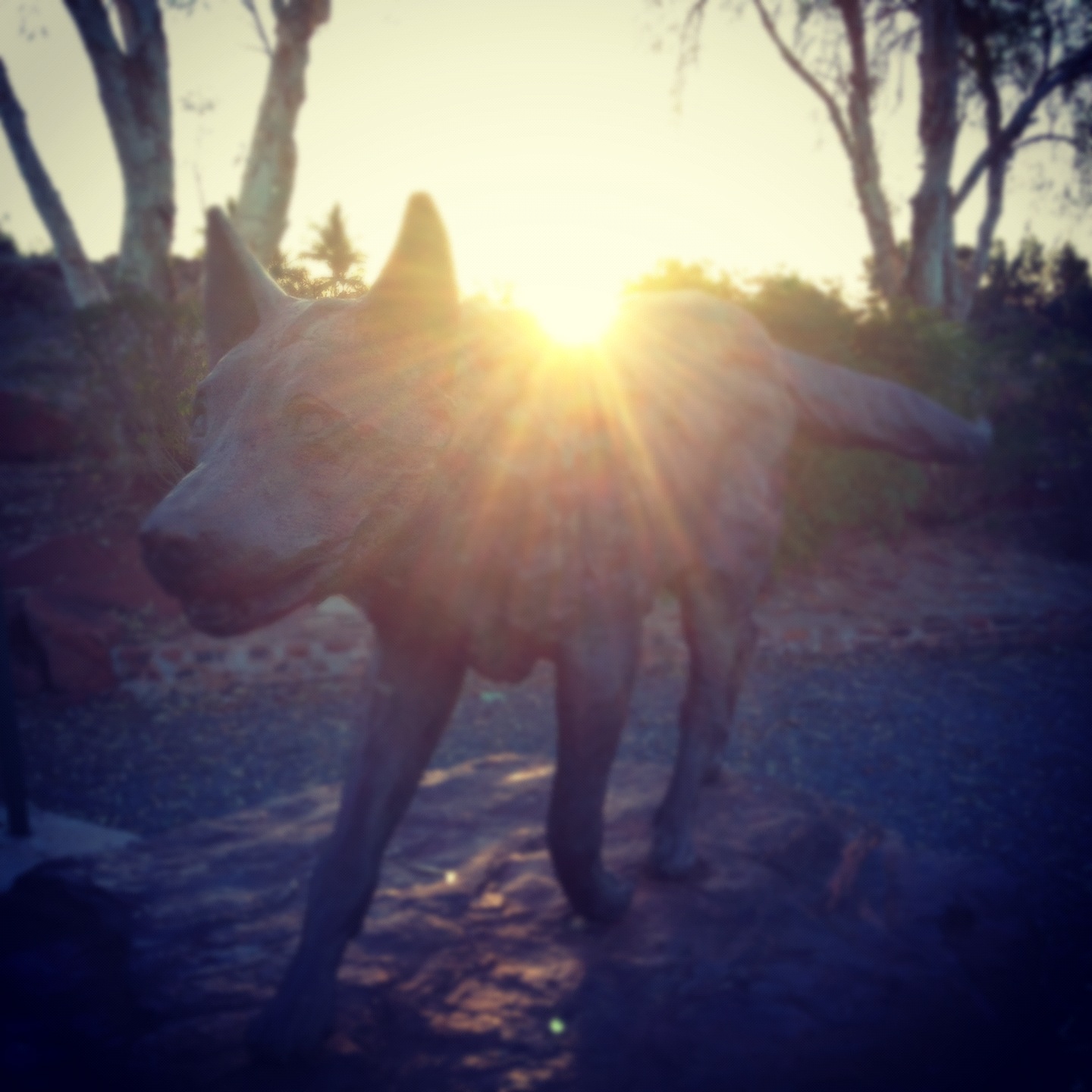 The Legend Of Red Dog | iPhoneography Oz | Australia iPhone Photography ...
