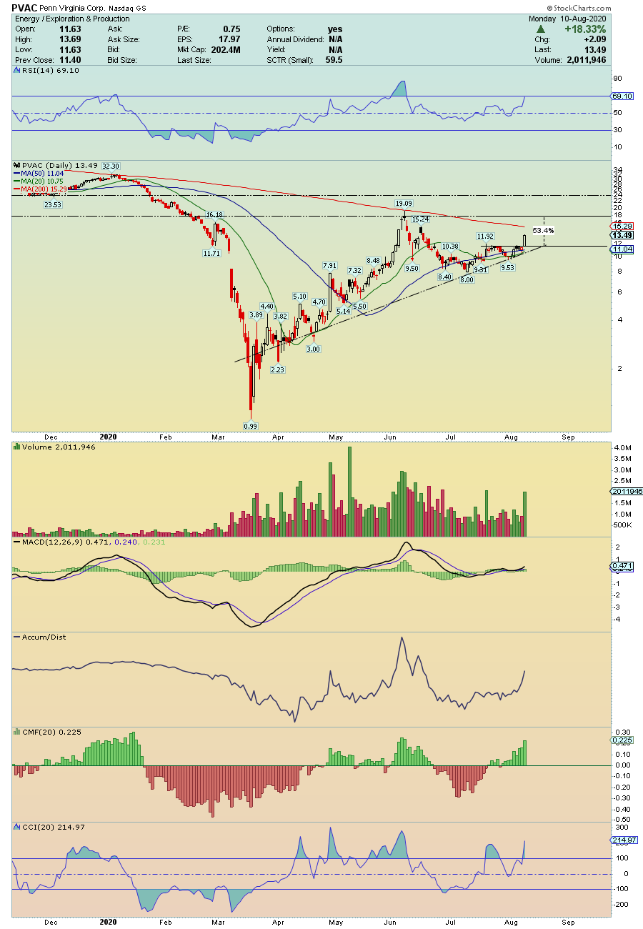 Watchlist for Tuesday, August 11 PVAC PRTY PRPO O DLPN XBIO INSG RMED ...