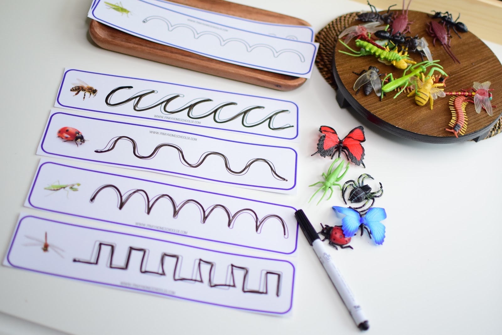 Insect Themed Lesson Plans for Kindergarten to First Grade | The Pinay ...