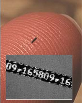 The Dish on Fish: Marking and Coded-Wire tagging at Winthrop NFH