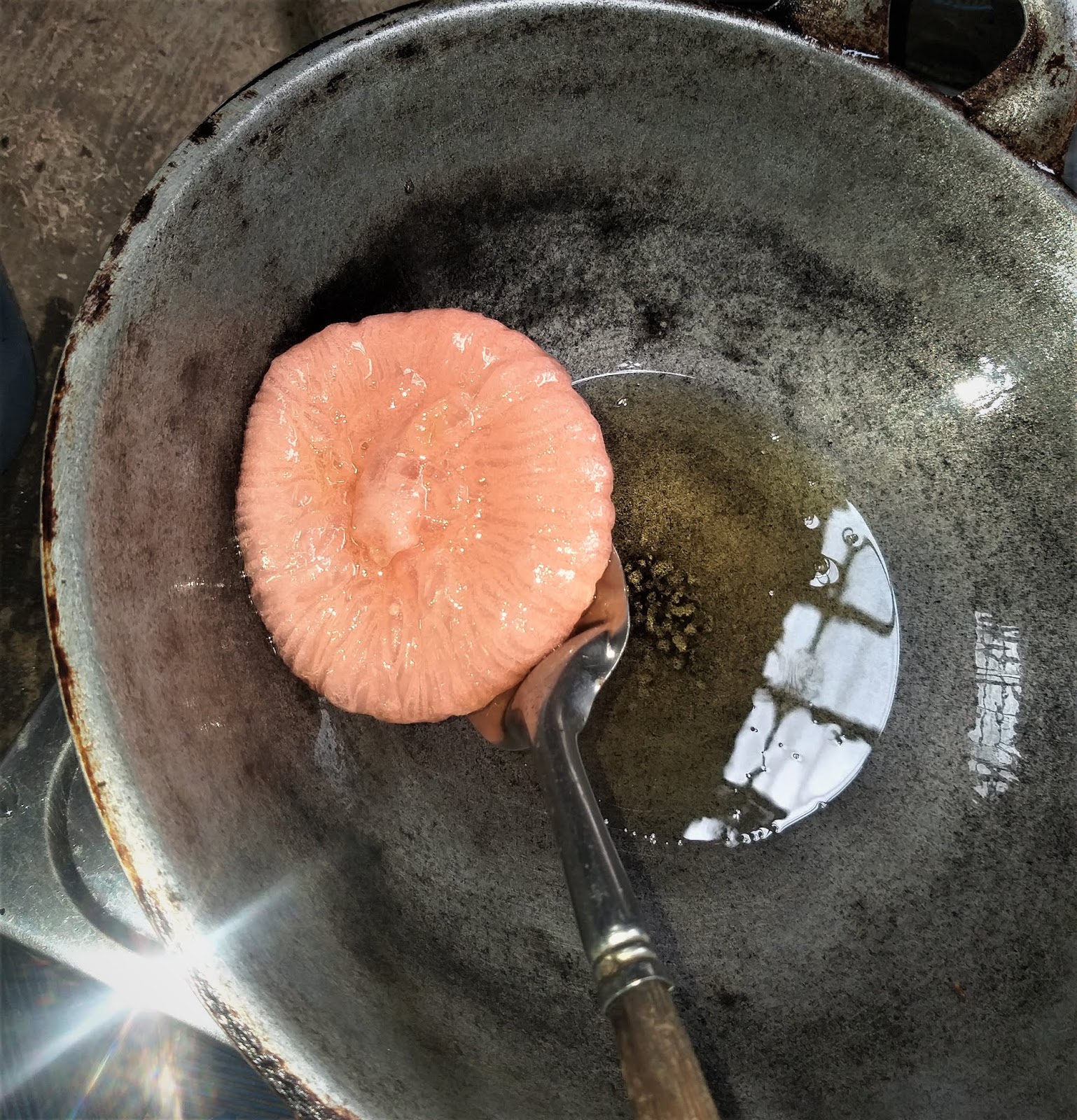 Procedure text and Explanation text