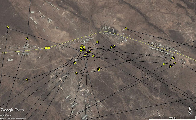 Egyptian vultures in Djibouti: More about Mabla (216)