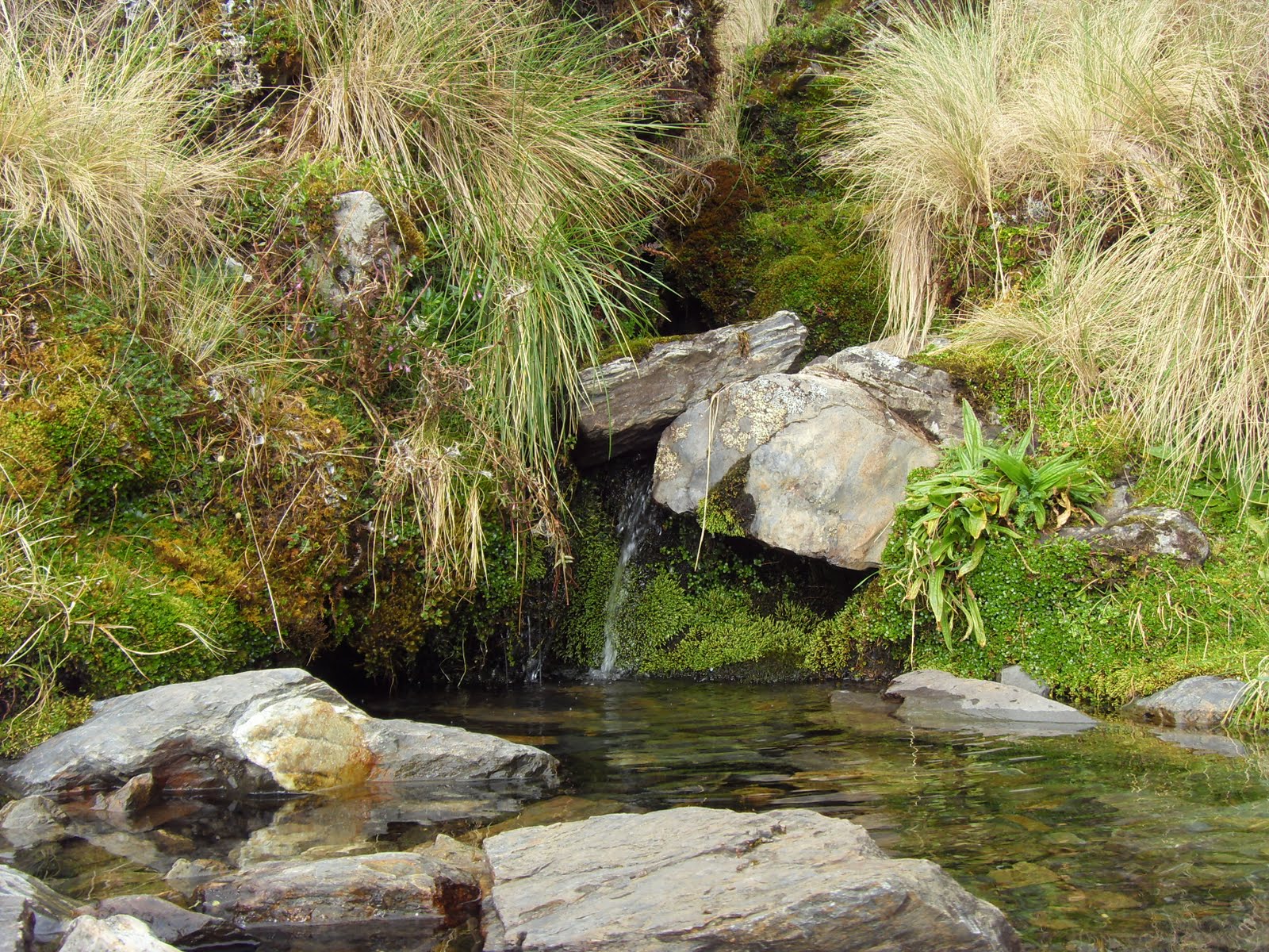 Brisbane to Barcelona: Yunga Cruz Trek