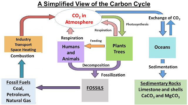 ektalks: Making Sense of our Climate Change: 5. Carbon Cycle and the ...
