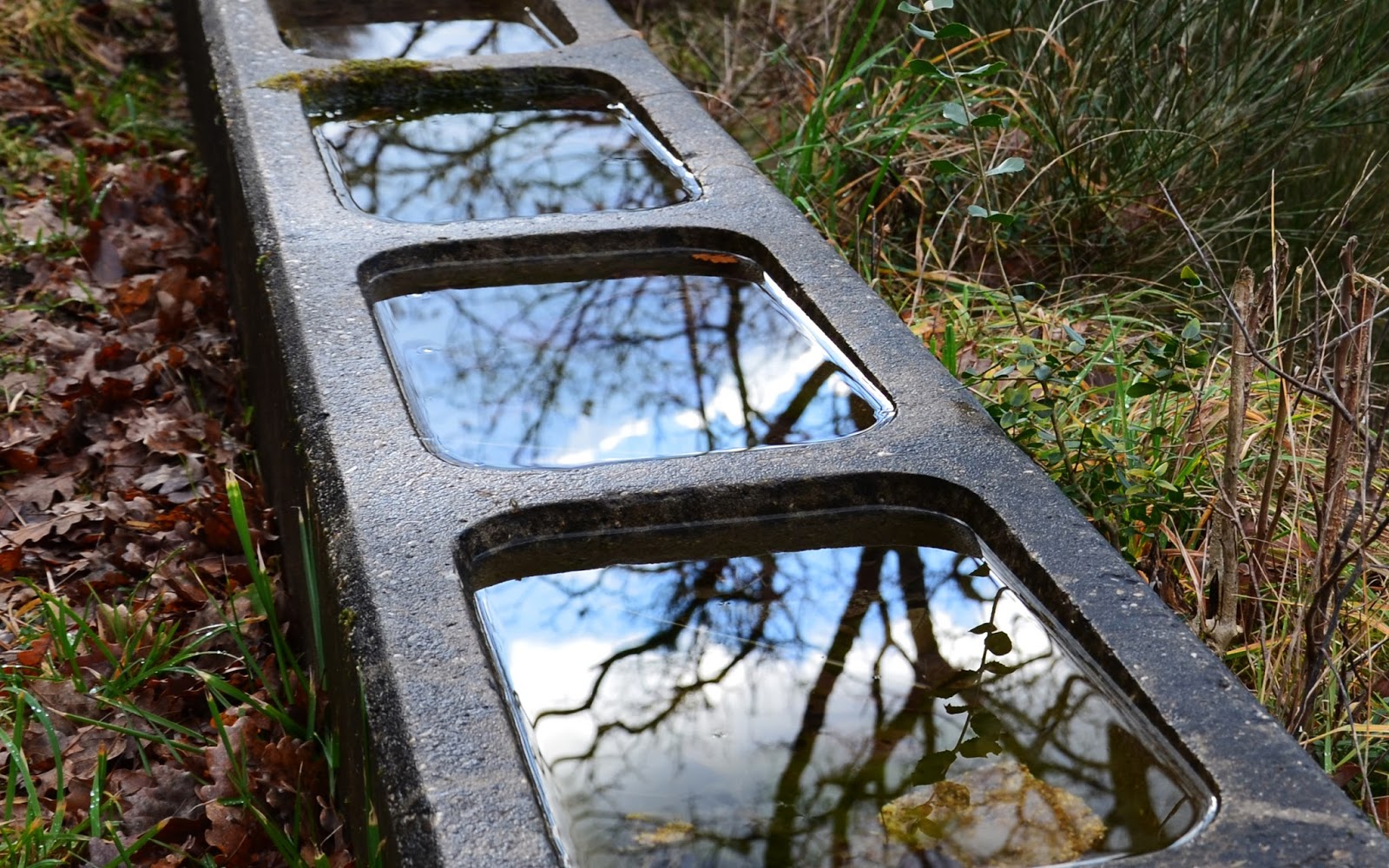 DROMESCAPE - Randonnées en Drôme et Escapades photographiques: Les ...
