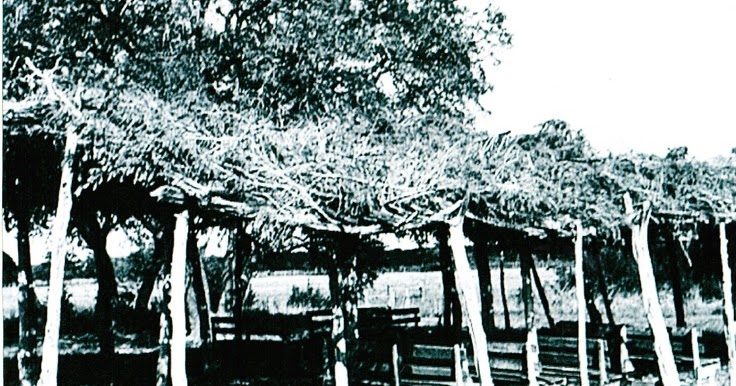 The Smith's Bennie and Patsy: A Little About Old Time Bush Arbor