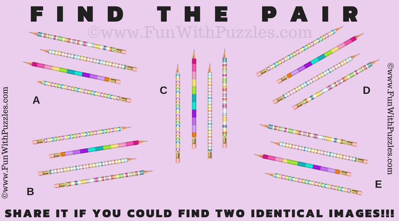 Challenging Find the Pair Puzzle: Spot the Alike Set