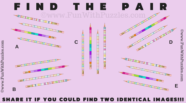 Challenging Find the Pair Puzzle: Spot the Alike Set