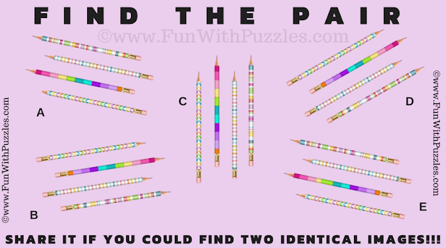 Challenging Find the Pair Puzzle: Spot the Alike Set