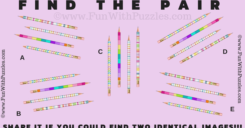 Challenging Find the Pair Puzzle: Spot the Alike Set