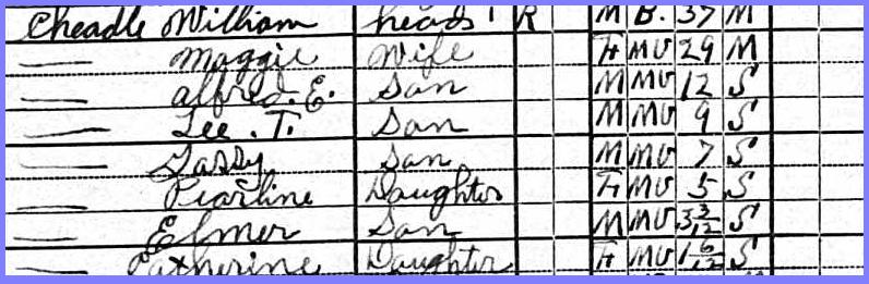 The African-Native American Genealogy Blog: The Chickasaw Freedman ...