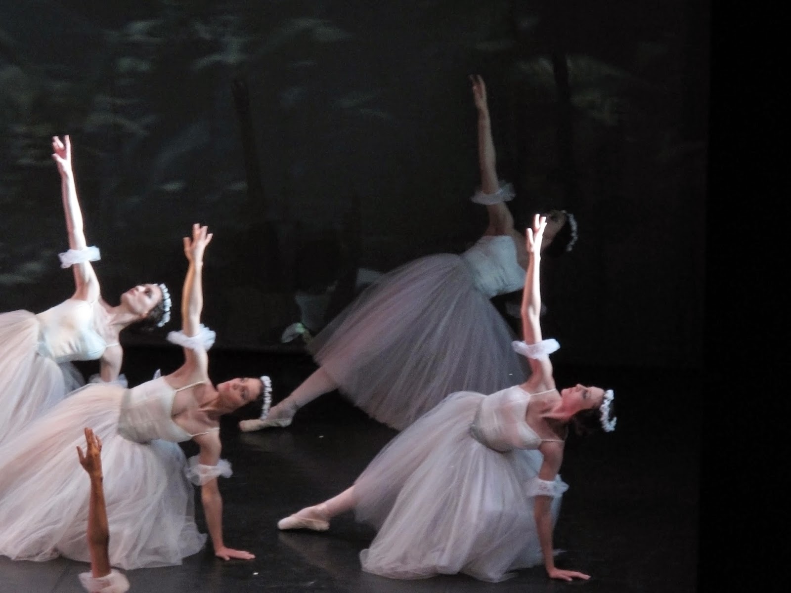 Giselle y las Willis | Si Coppelia Vistiera de Prada