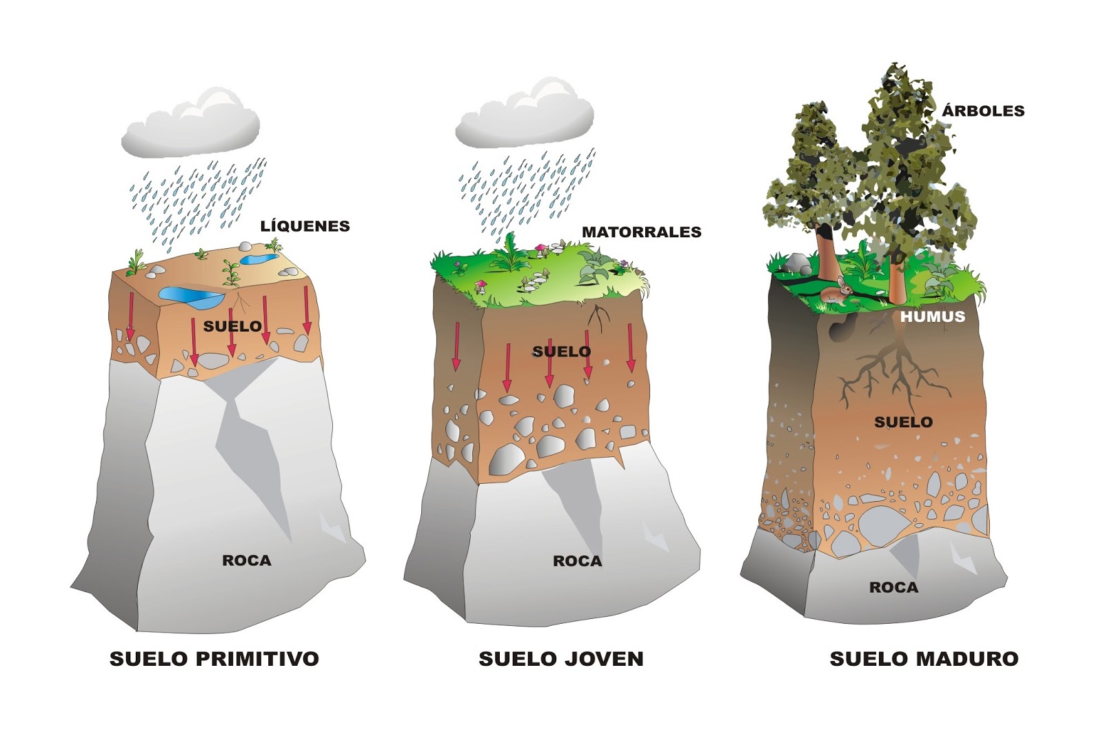 geología y geomorfologia: semana 6!!