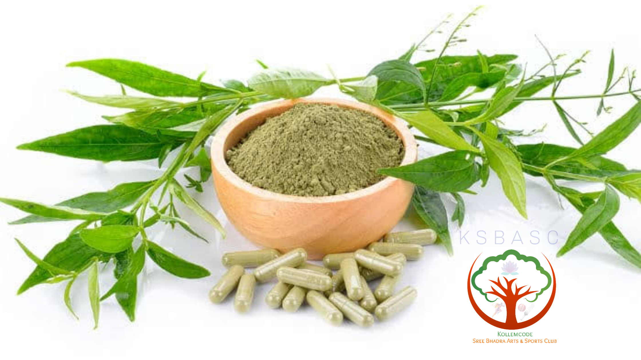 Nilavembu / Andrographis