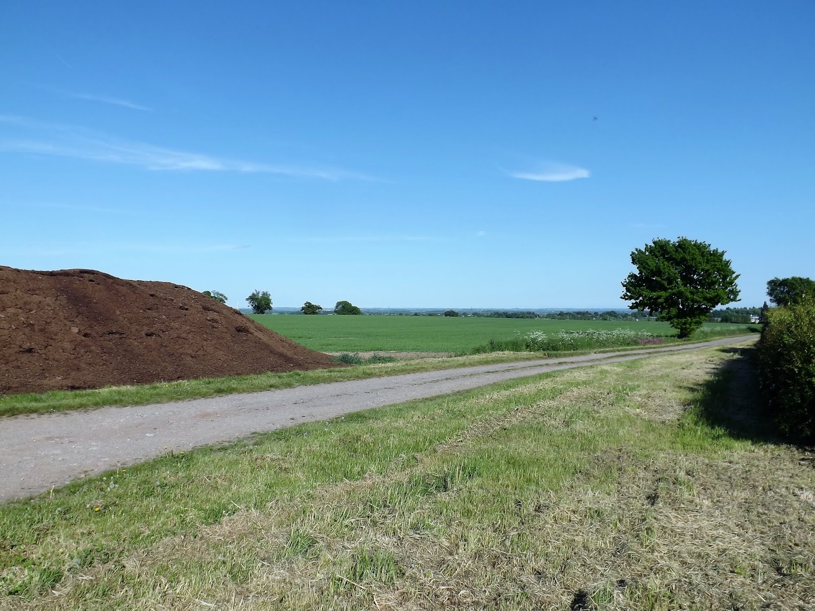 JJ's Wargames: Battle of Stoke Field, 16th June 1487