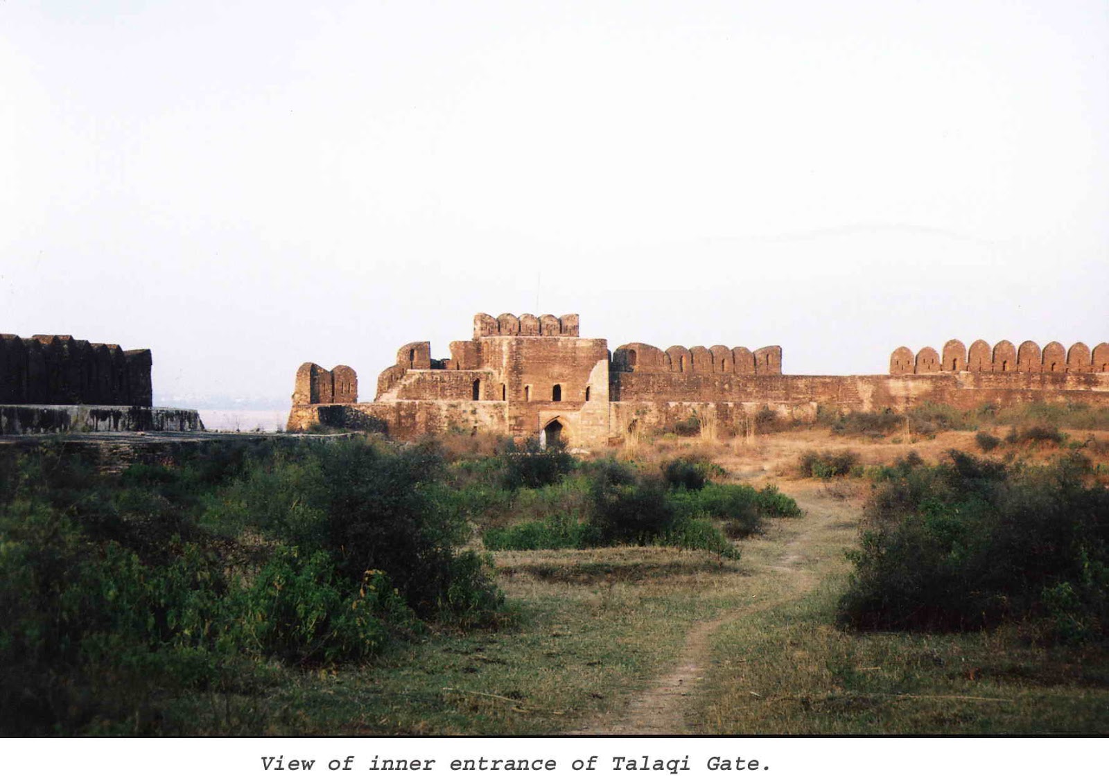 OldisGold: October 2019