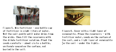 Mrs. Strong's AP Bio Lab Pages: Artificial Selection Lab (AP Bio Lab #1)