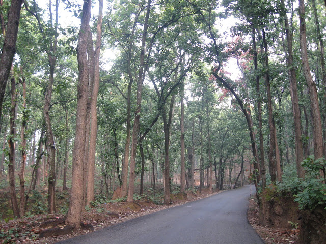 Puneet's Travel Blog.: A little about village Bidholi