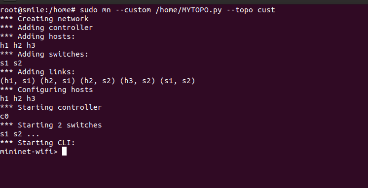 Custom Topology In Mininet