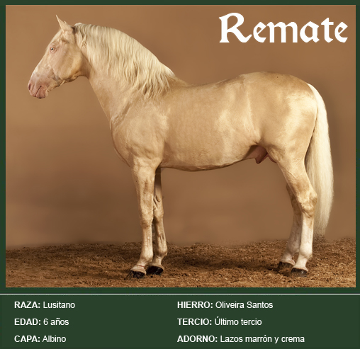 ARQUEOLOGIA TAURINA: 2013