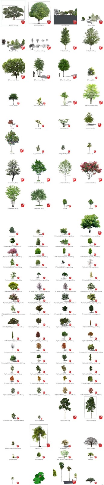 [SKETCHUP] 2D TREE FOR CONCEPT (PART 2) - ANARCHIVN