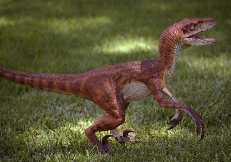 TULANGHEWANZAMANPURBAKALA