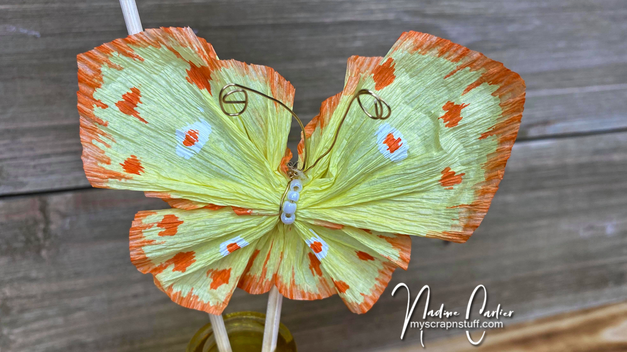 DCWV Petal Paper Blog Hop With DCC ~ Nadine Carlier