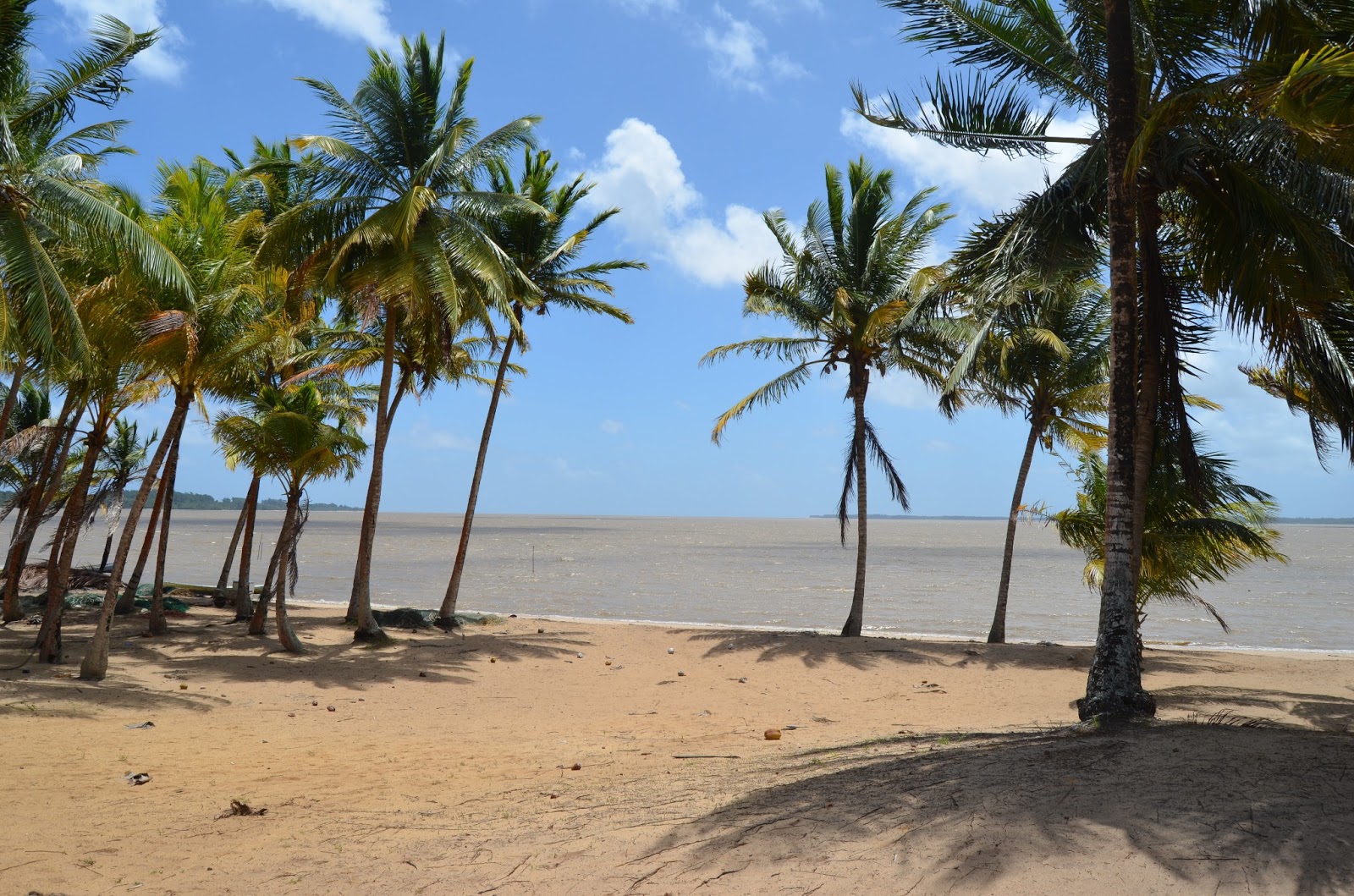 De avonturen van Charlene in Paramaribo: De voorbije vier weken