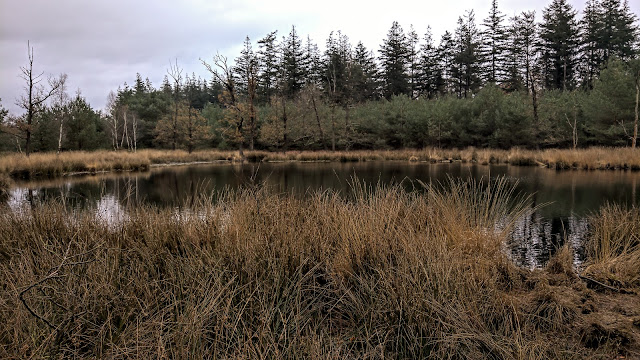 Bergloper: Stroe en Oud-Milligen