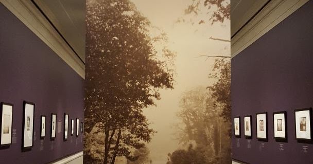 Luncheon of the Museum Goer: Photography at the National Gallery