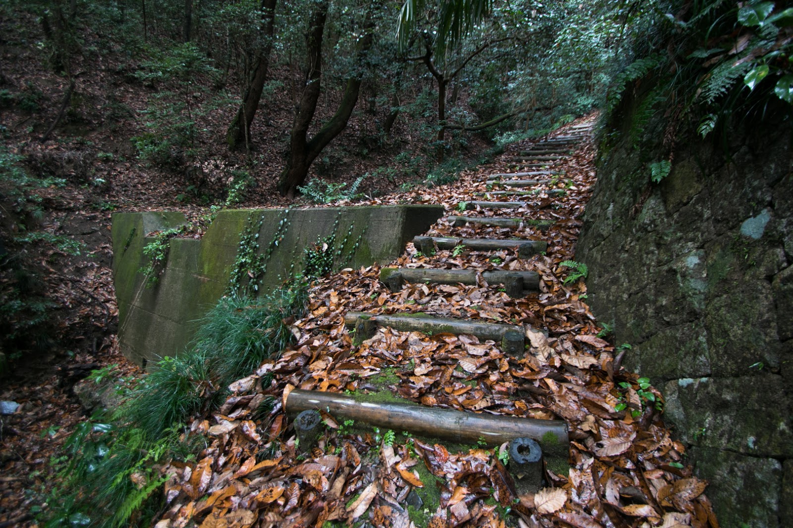 Kanagawa Castle -Fall just one step short of survival- | Ken's Storage ...